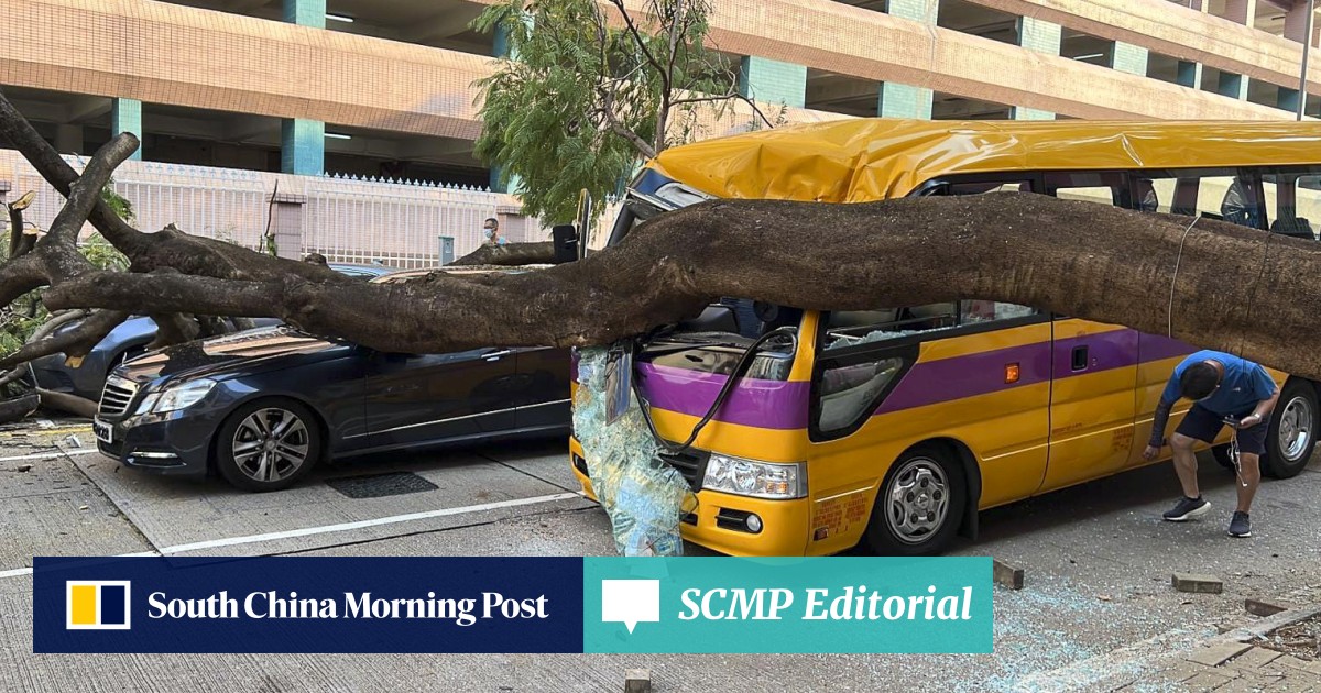 Editorial | New thinking needed to better manage risks posed by falling ...