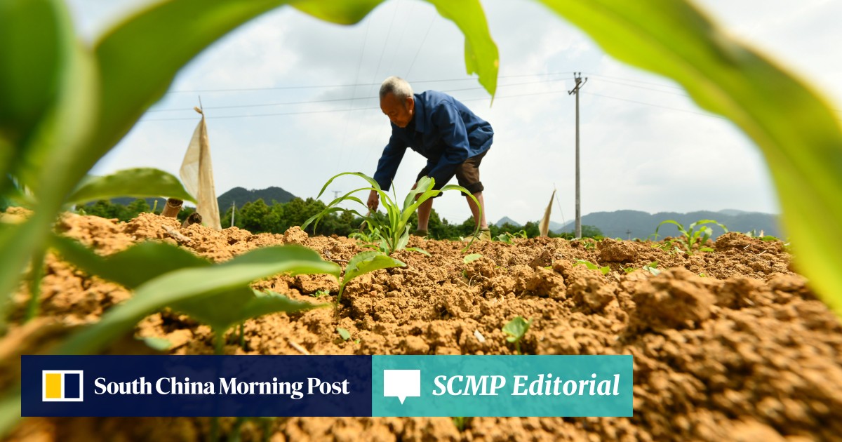 Editorial | Authorities must keep up the fight against counterfeit ...