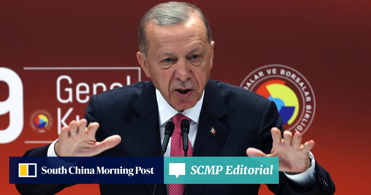 Editorial | Test of national unity for divisive Erdogan | South China ...