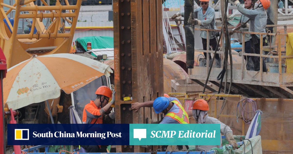 Editorial | Importation of labour is not enough to address wider ...