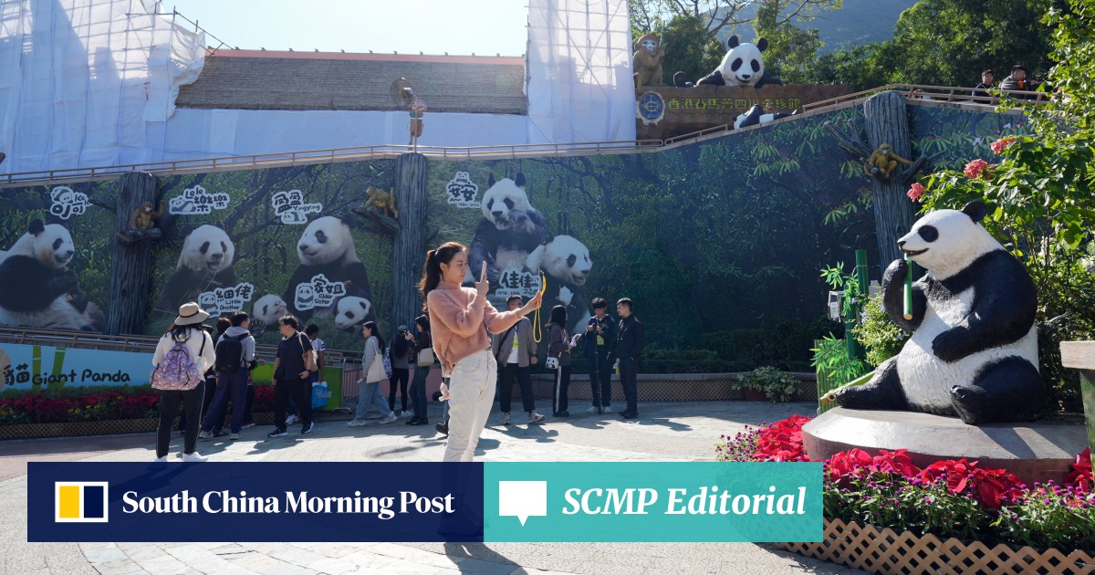 Editorial | High hopes for boost from panda economy | South China ...