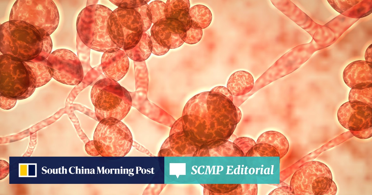 Be on guard against spread of superbug | South China Morning Post