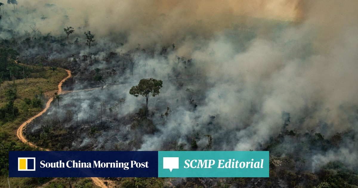 Editorial | Amazon wildfires demand an international response | South ...