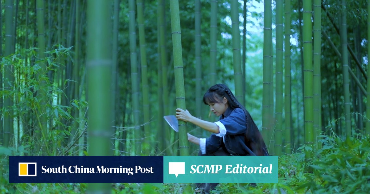 Editorial | Rural Chinese YouTube star is testament to soft power ...