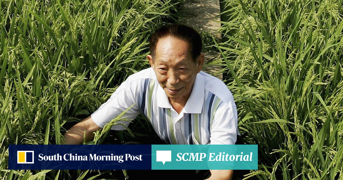 Opinion | Rice hero who strove to alleviate hunger an example to us all ...
