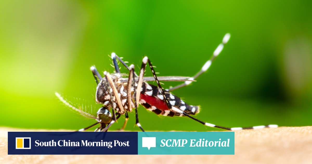 Opinion | China can be rightly proud of its efforts to eradicate ...