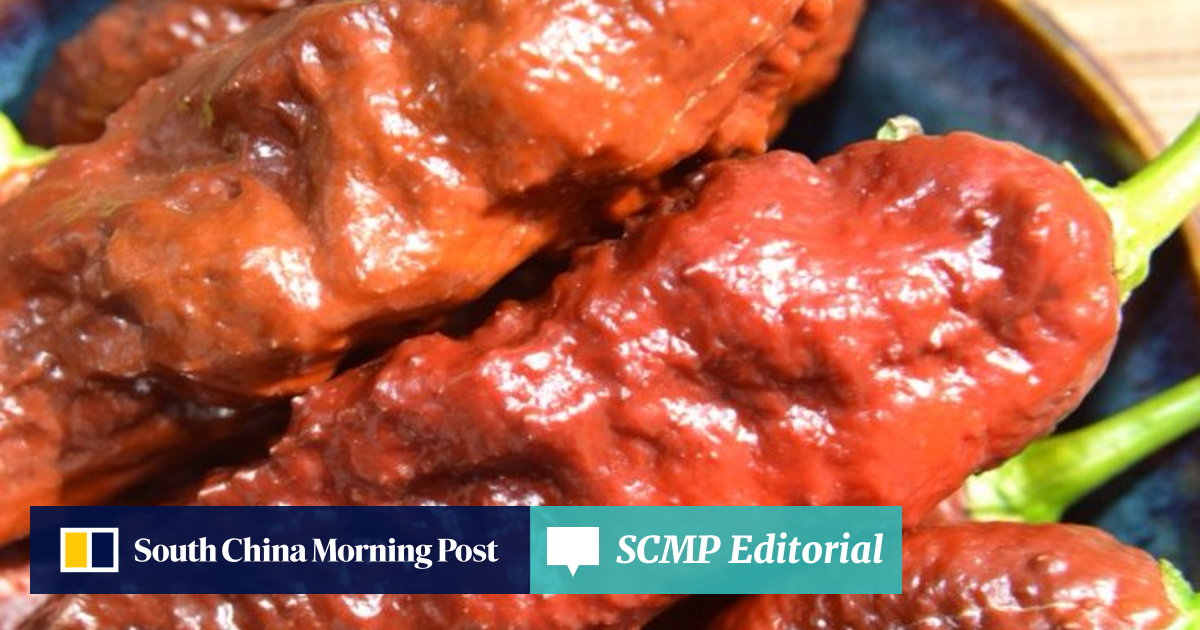 ghost pepper challenge gone wrong