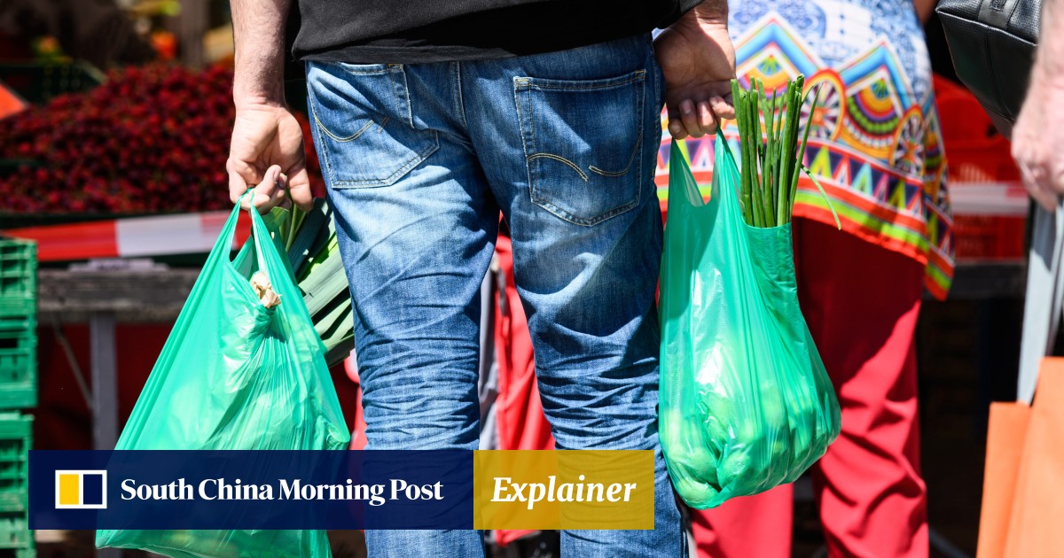 Explainer | What you can do to limit climate change: practical ways to ...