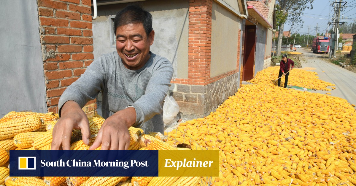 Explainer | China food security: 5 major concerns, from loss of fertile ...