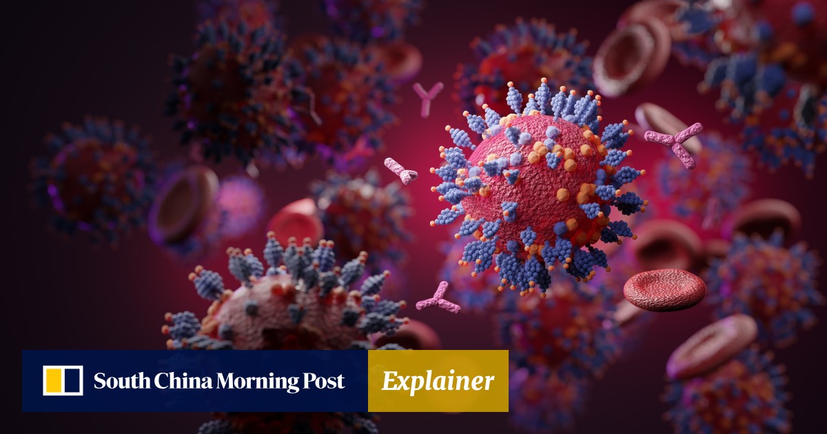 Explainer | Will the coronavirus continue to evolve after Omicron? And ...
