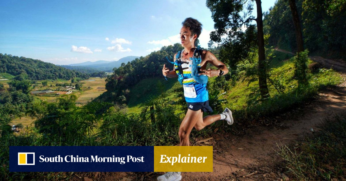 Explainer | Should I do upper body exercises for trail running? How ...