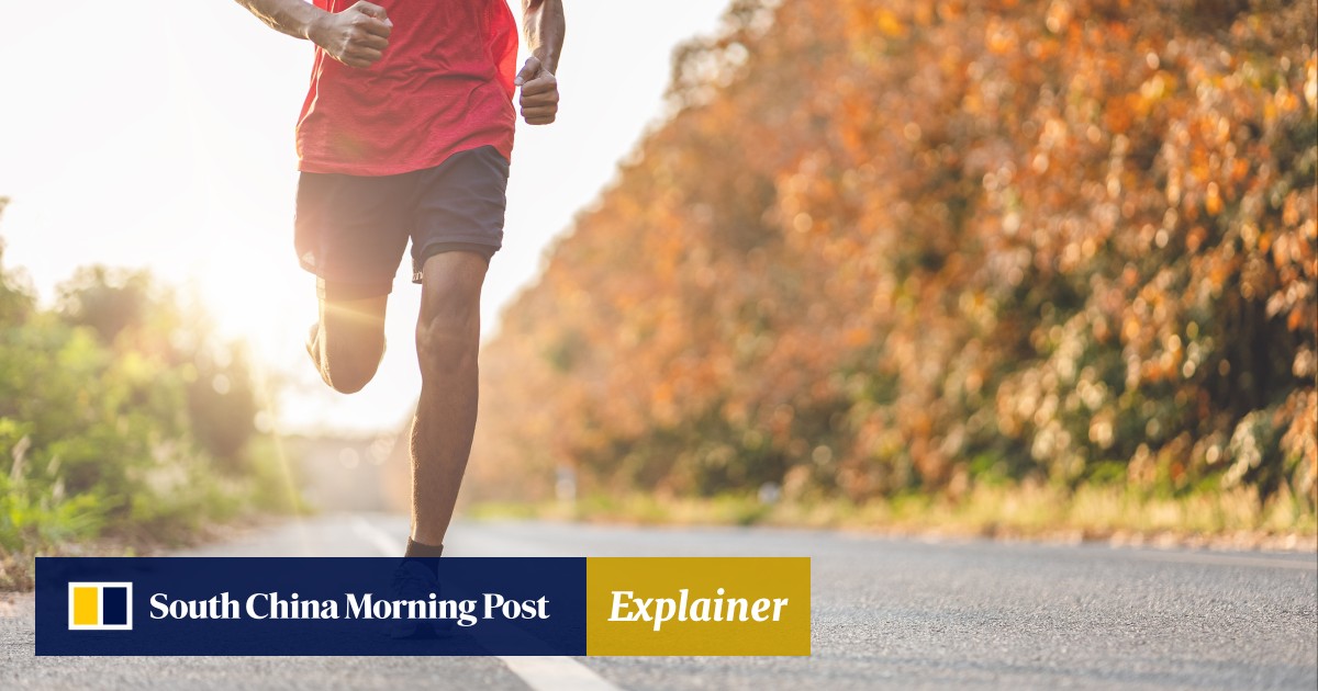 Explainer | Running: training hard but not seeing improvements? Try ...