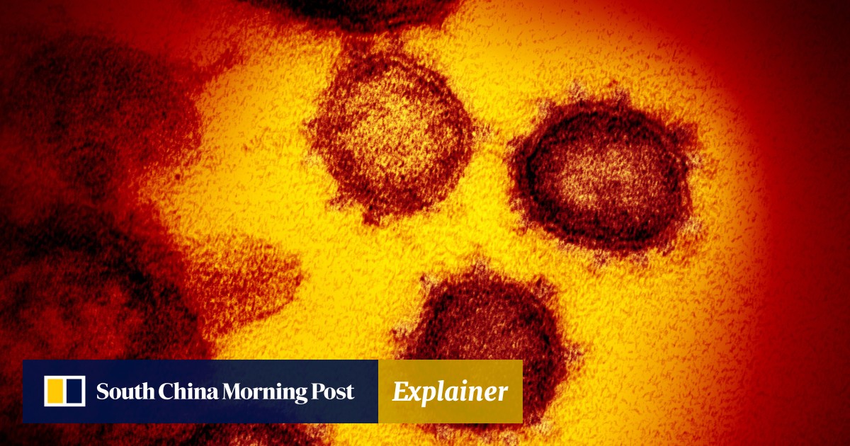 Explainer | Hong Kong research points to new route to treatments for ...