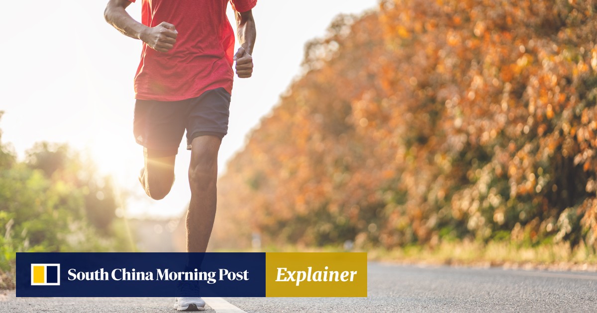 Explainer | How many calories does running burn? Here are the main ...
