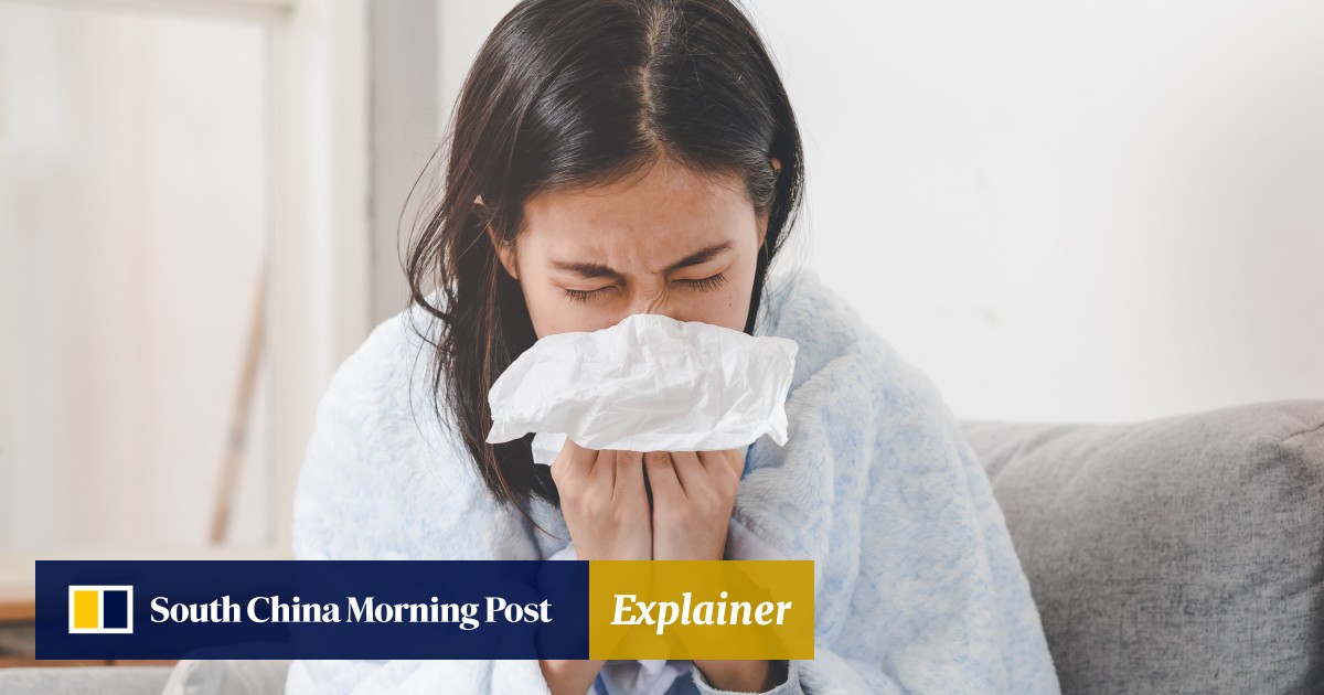 Explainer | The common cold: quick facts about this virus – its ...