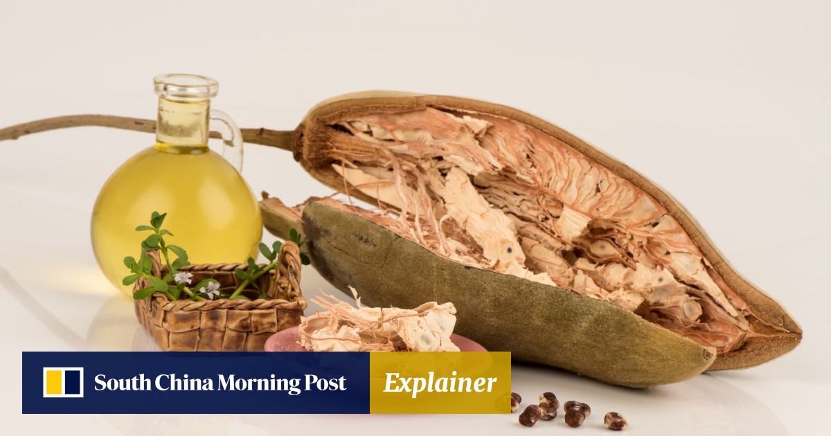 Explainer | Which face oils should you add to your skincare routine? 4 ...