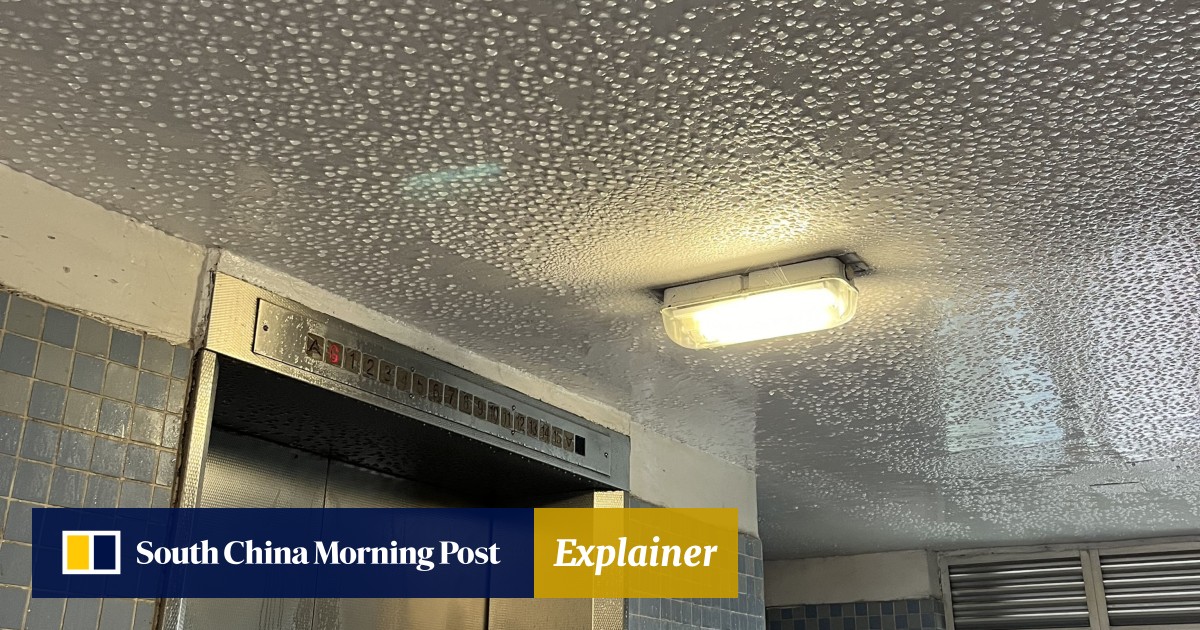 Explainer | Slippery floors, water droplets on walls give Hong Kong ...