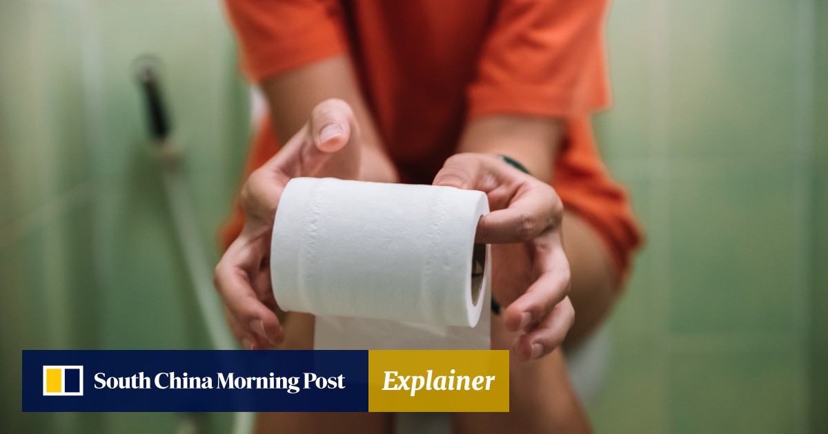 Explainer | What healthy and unhealthy poop looks like, when to be ...