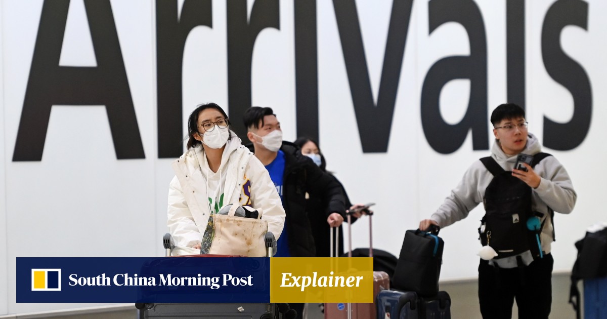 Explainer | Hongkongers will soon need to pay to enter the UK. What should you know about the ...