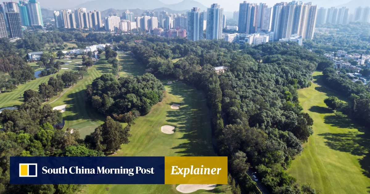 Explainer | Court ruling is latest twist in long battle to build flats ...