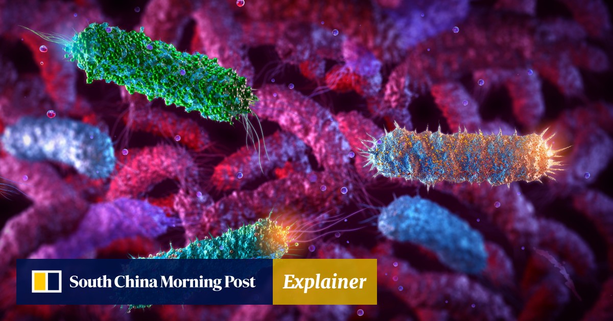 Explainer What To Know About E Coli Symptoms Hygiene After Hong Kong Doctors Death South
