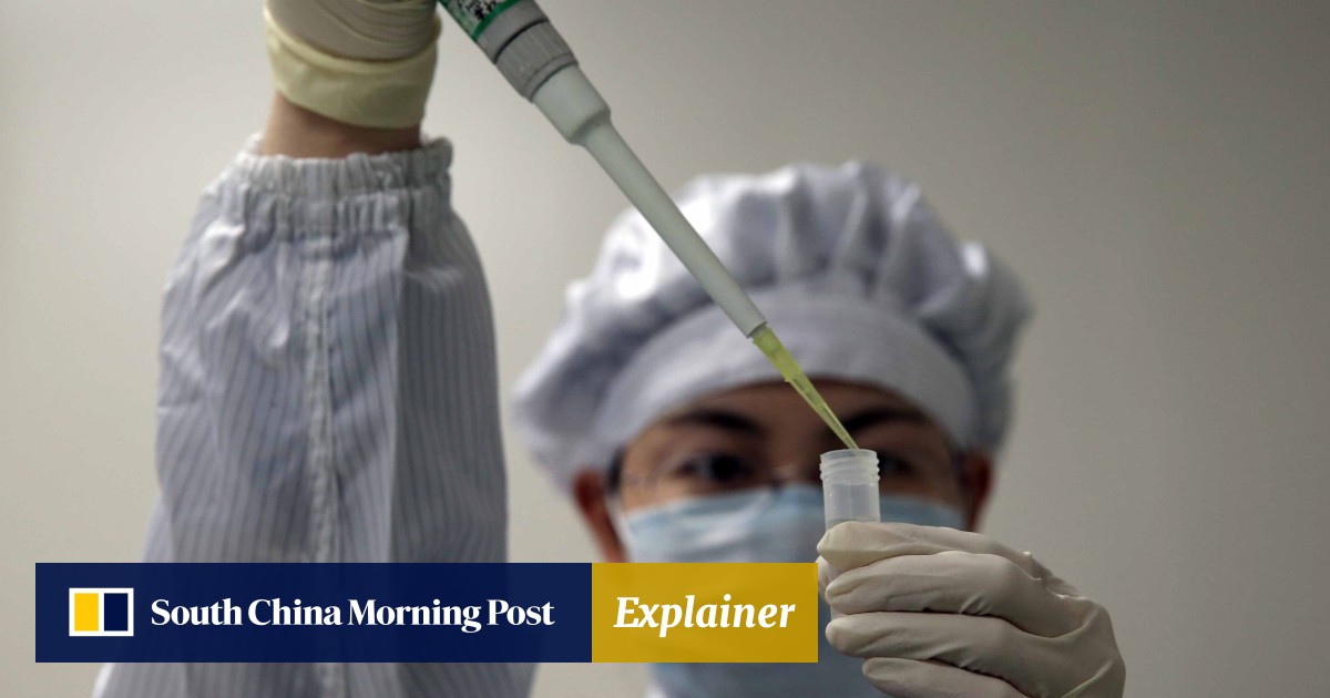 Explainer | Coronavirus testing: how it works and where to get tested ...