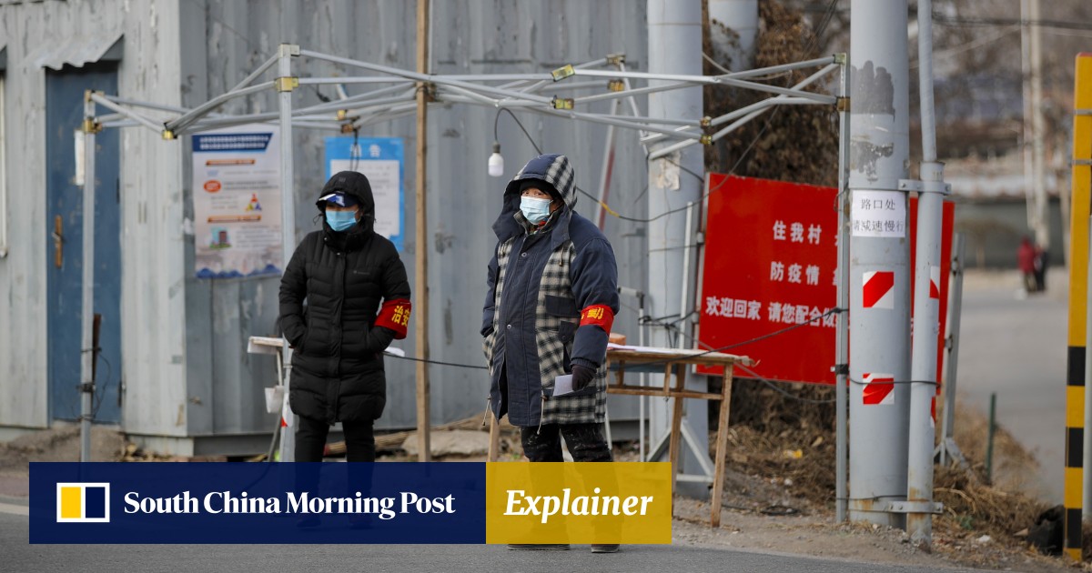 Explainer | Coronavirus: what’s life like for the 20 million Chinese ...