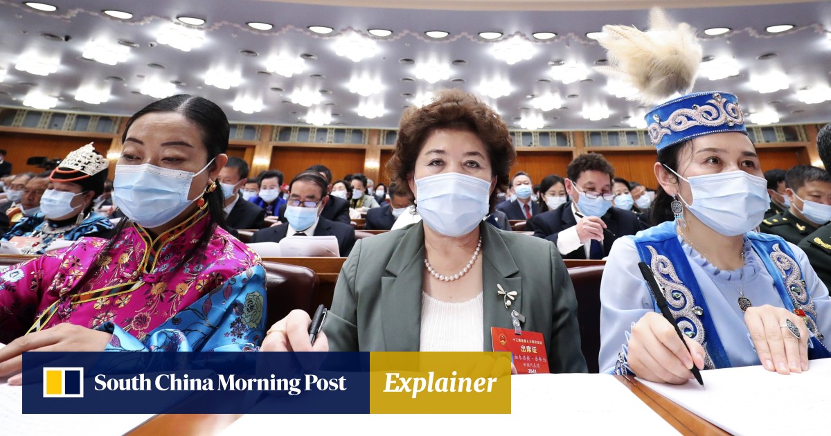 Explainer | How well are women and ethnic minorities represented in ...