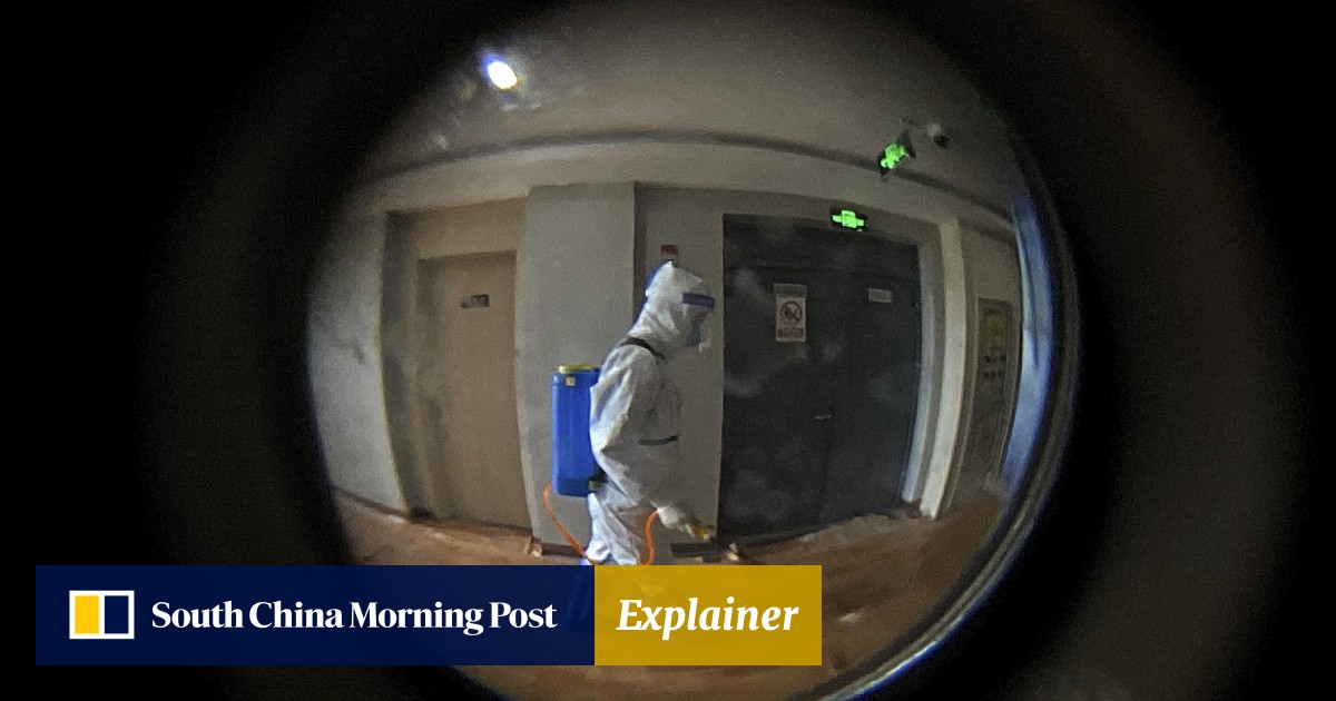 Explainer | China’s quarantine: how long, what does it cost and what is ...