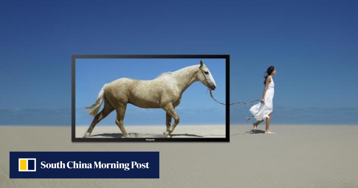 Life-size television | South China Morning Post