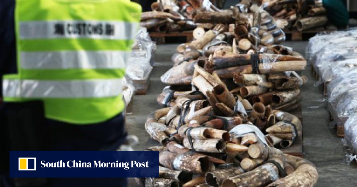 Customs officials battle smuggling surge | South China Morning Post
