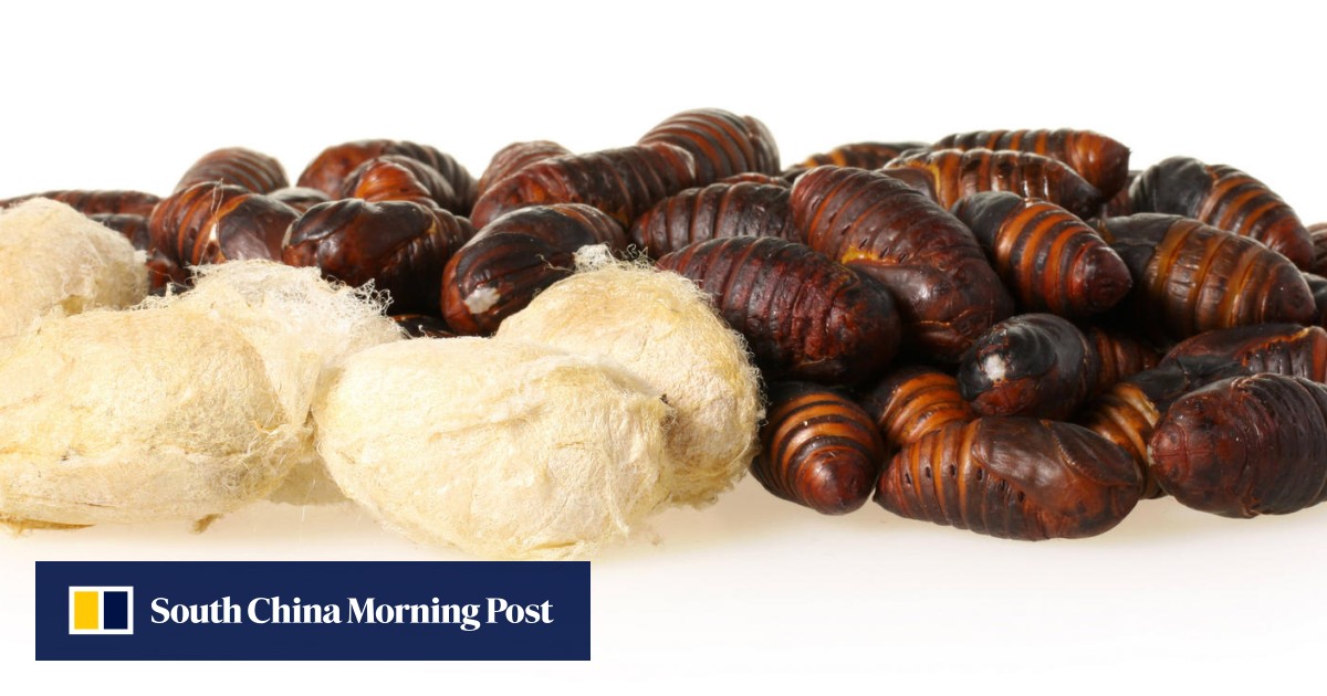 Snack attack: snug as a bug | South China Morning Post