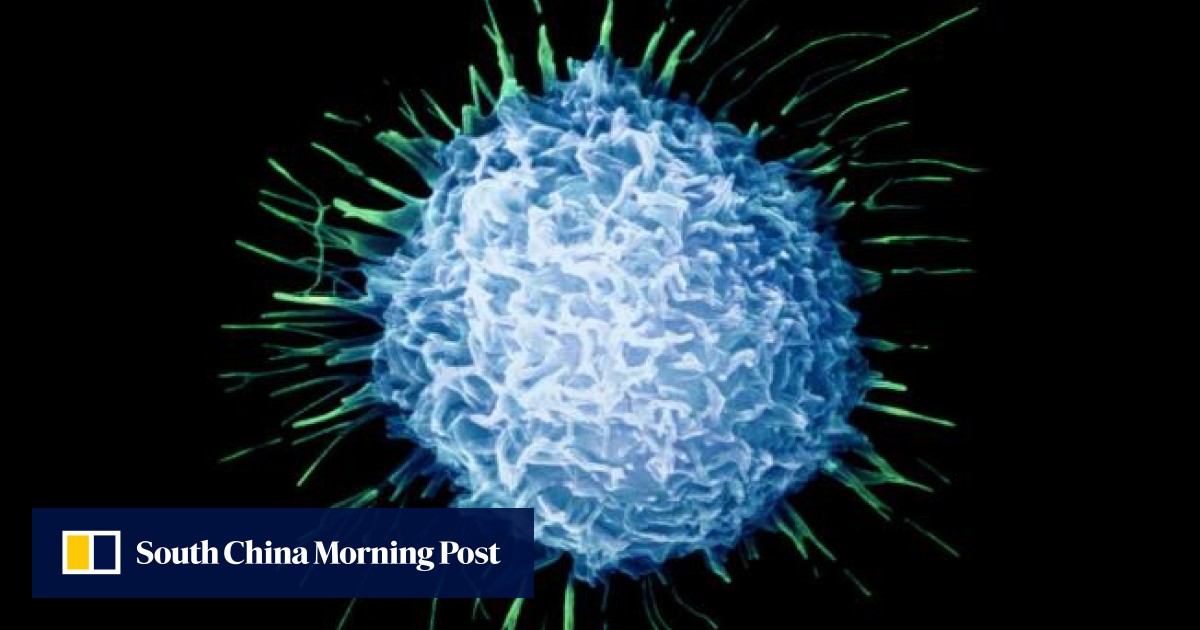 Cancer reflects the processes of the evolution of life | South China ...