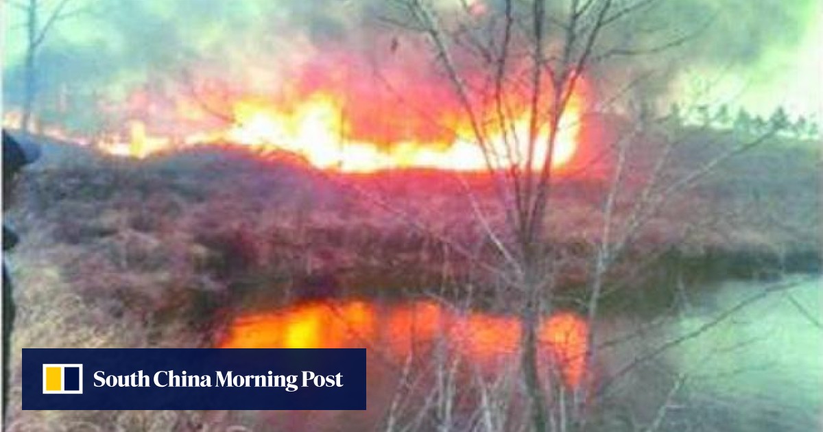 Henan official sets farmer’s trees on fire for fun | South China ...