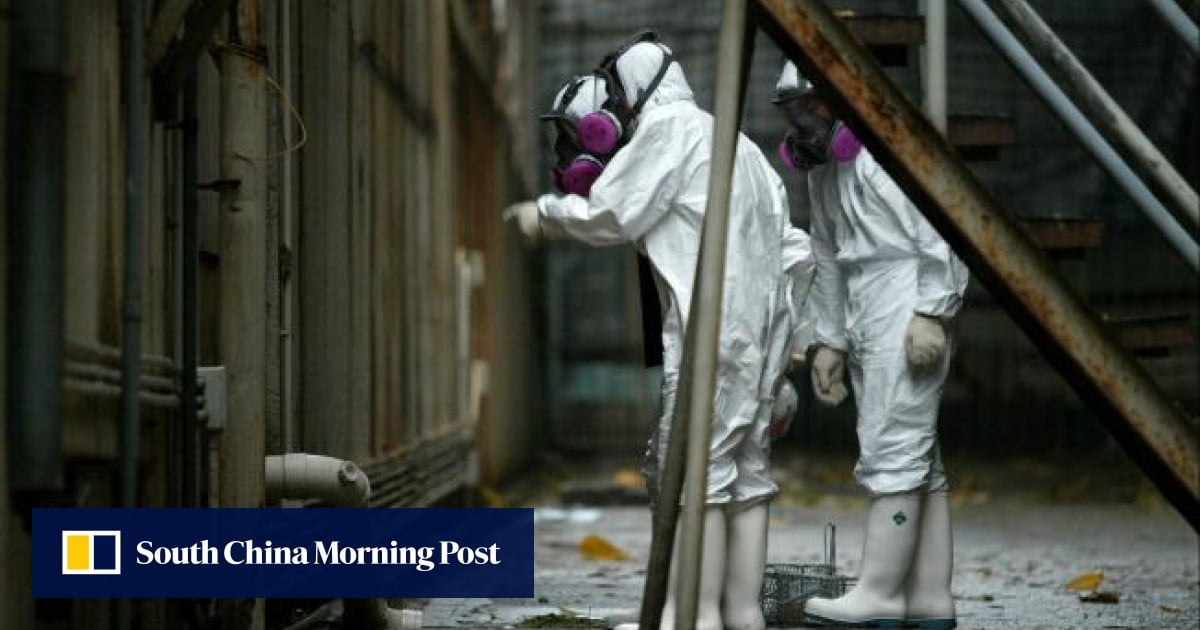 Ten years on - the mental and physical scars of Sars | South China ...