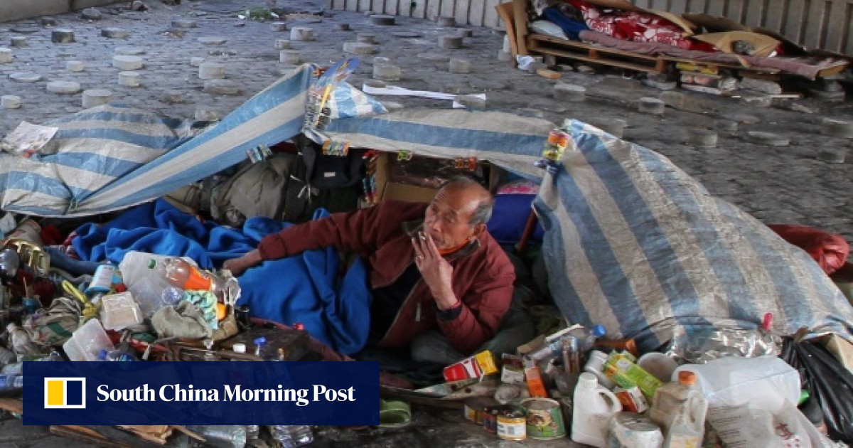 Pet park plans at centre of homeless row | South China Morning Post