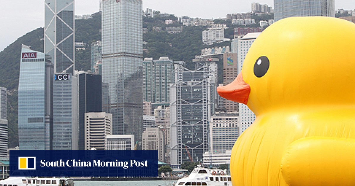 Rubber Duck floats Hong Kong's boats as thousands watch arrival | South ...