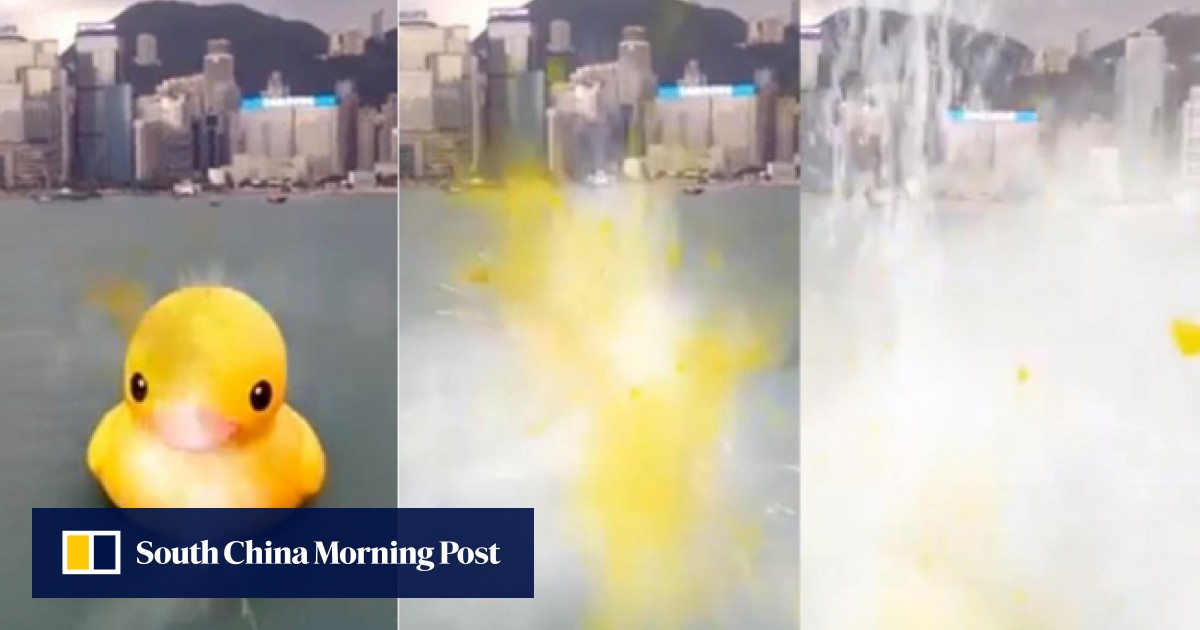 Inflatable duck causes social media stir in Hong Kong | South China ...