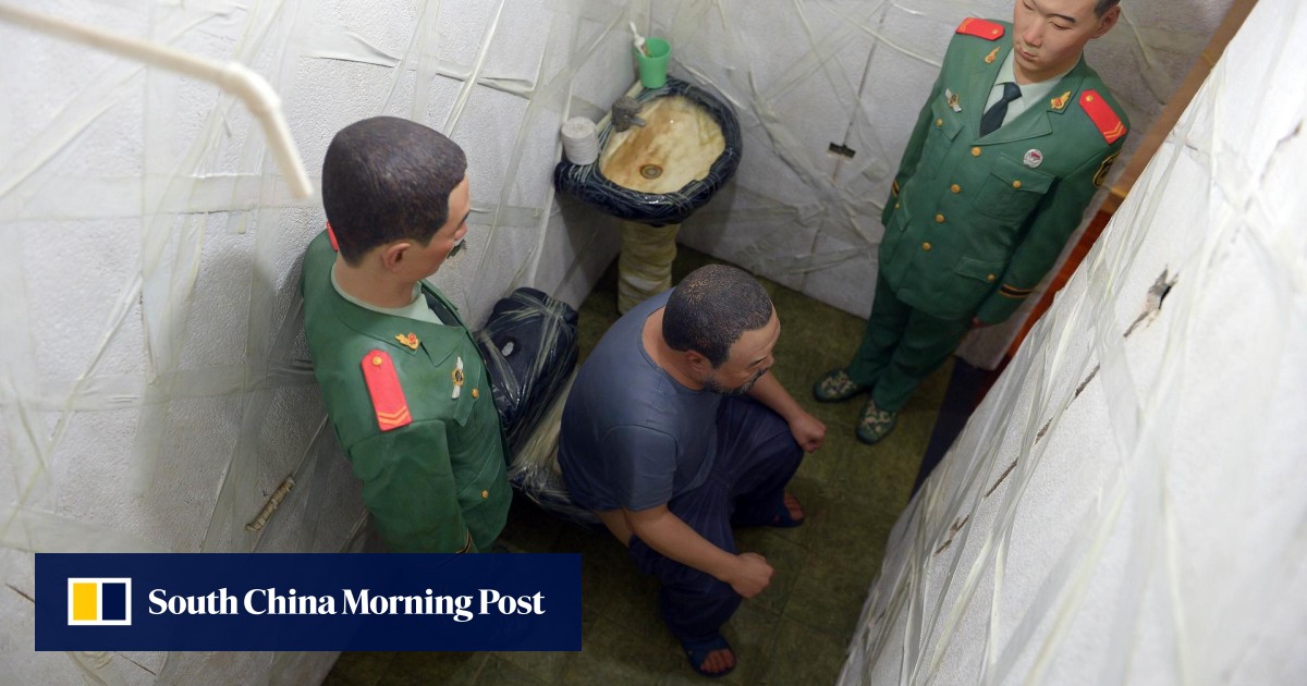 Venice Biennale: from polar ice to cardboard bedrooms | South China ...