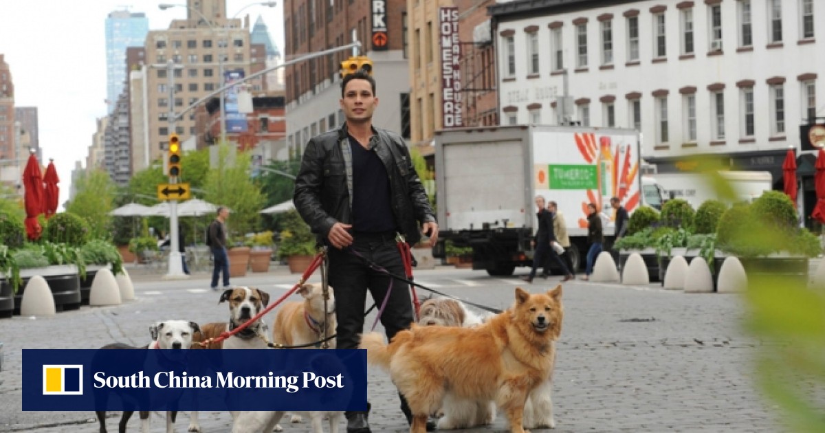 Channel hop | South China Morning Post