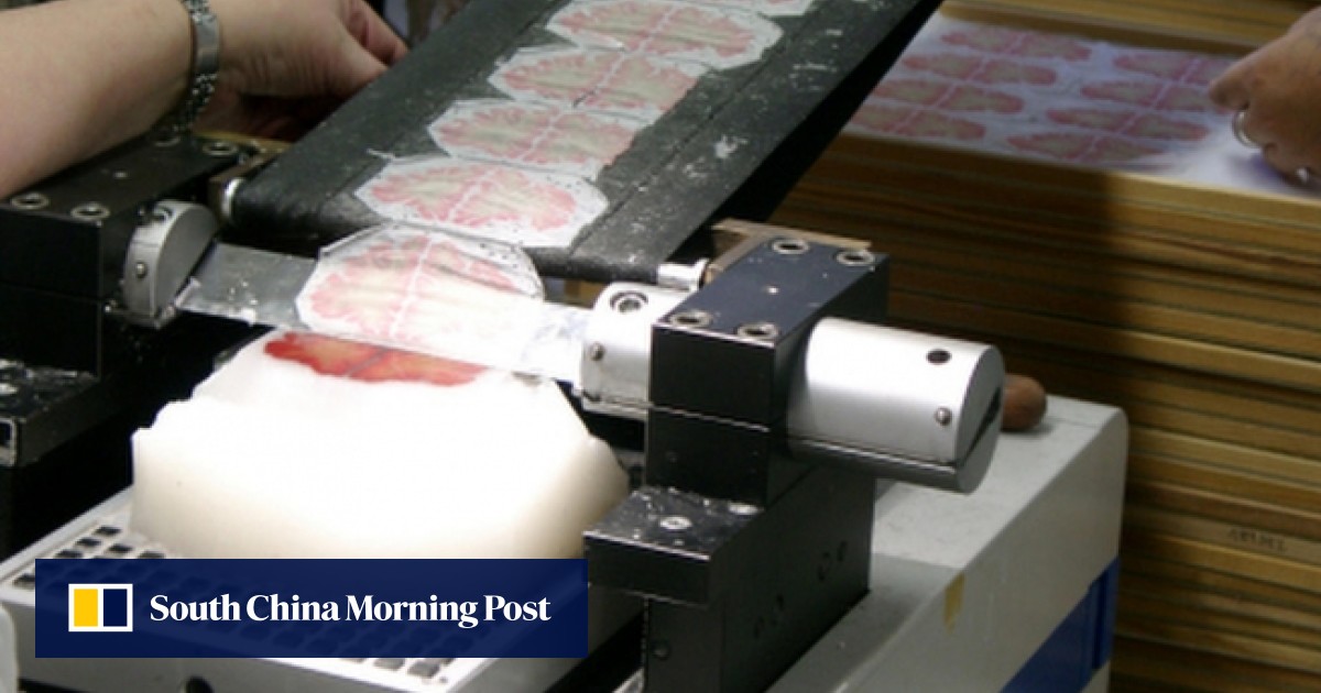 High-res 3-D model of brain will put flood of new discoveries into ...