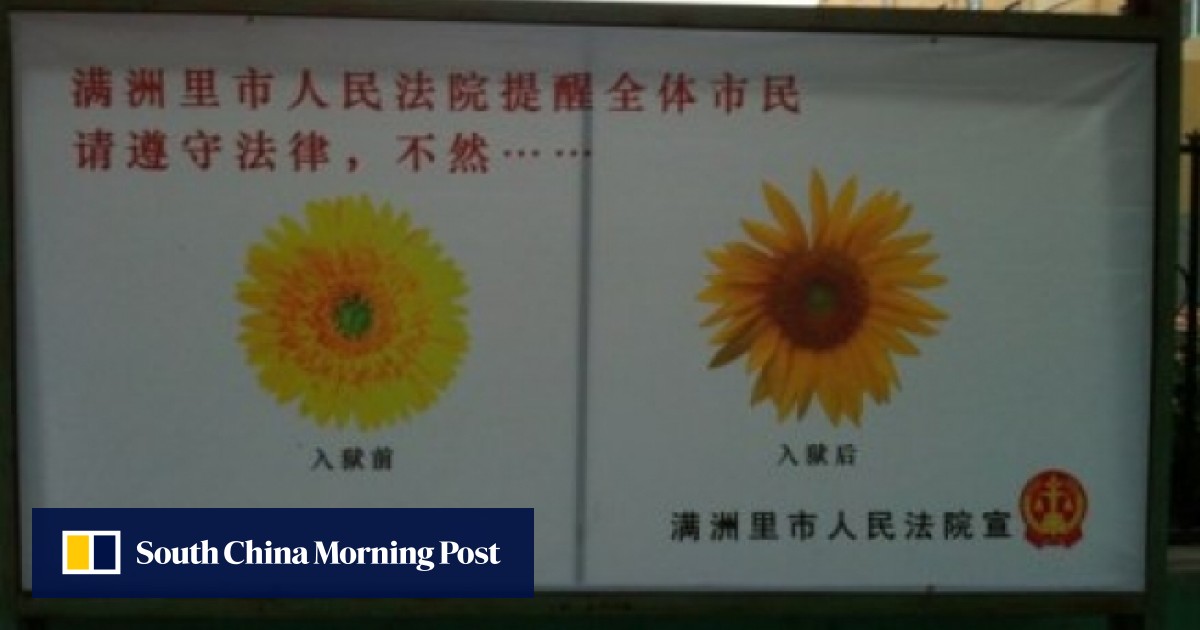 What does this Chinese poster mean? Propaganda falls flat, withdrawn ...