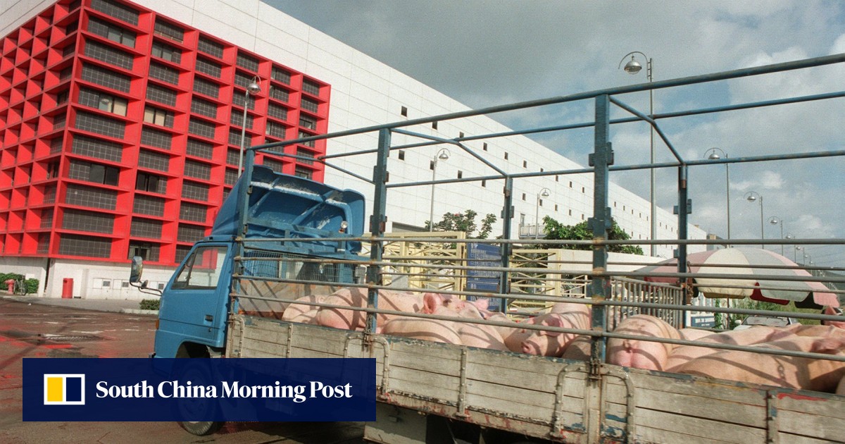 Rare superbug found in Hong Kong has never been detected in Asia before ...