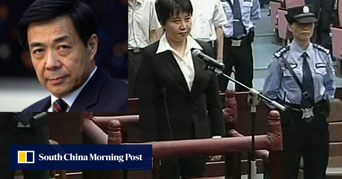 Bo Xilai's downfall his ‘greedy’ wife’s fault, say relatives | South ...