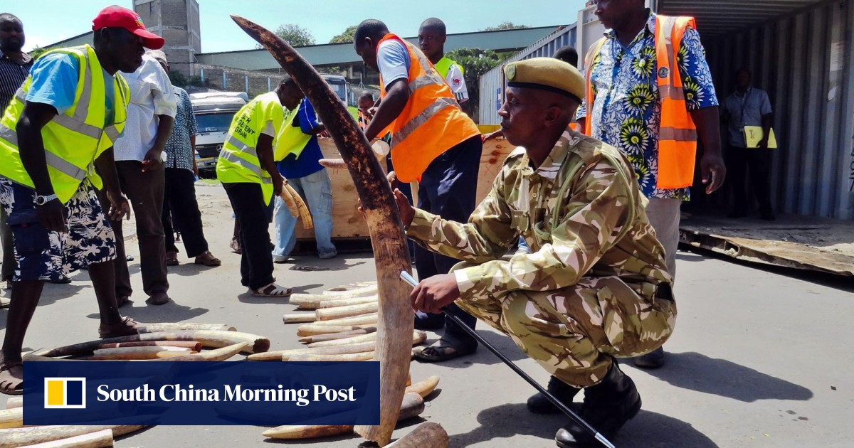 Kenya jails Chinese ivory smuggler in landmark ruling | South China ...
