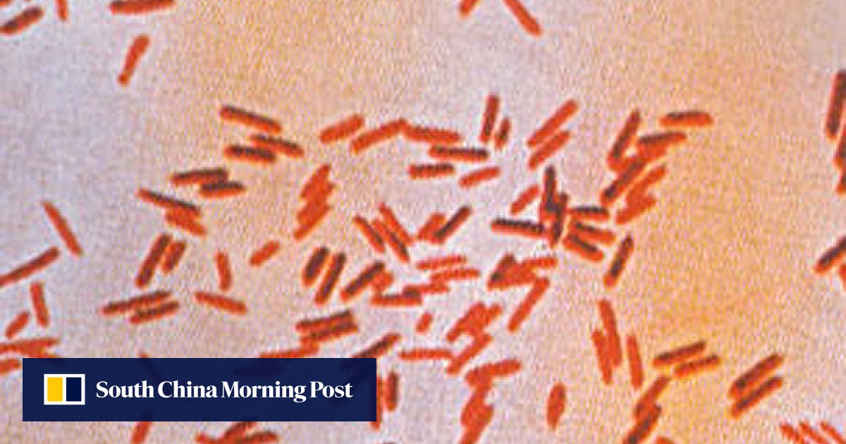 US scientists zero in on ‘Typhoid Mary’ mystery | South China Morning Post