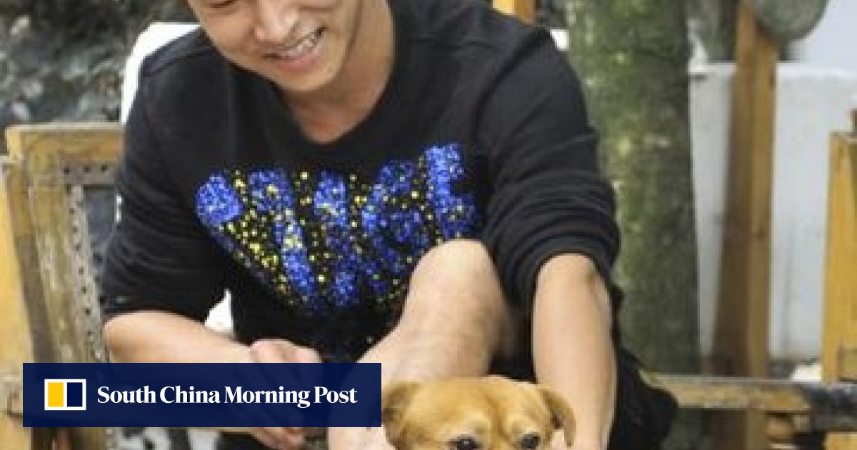 Loyal Chengdu dog that searched buses for its master finally finds a ...