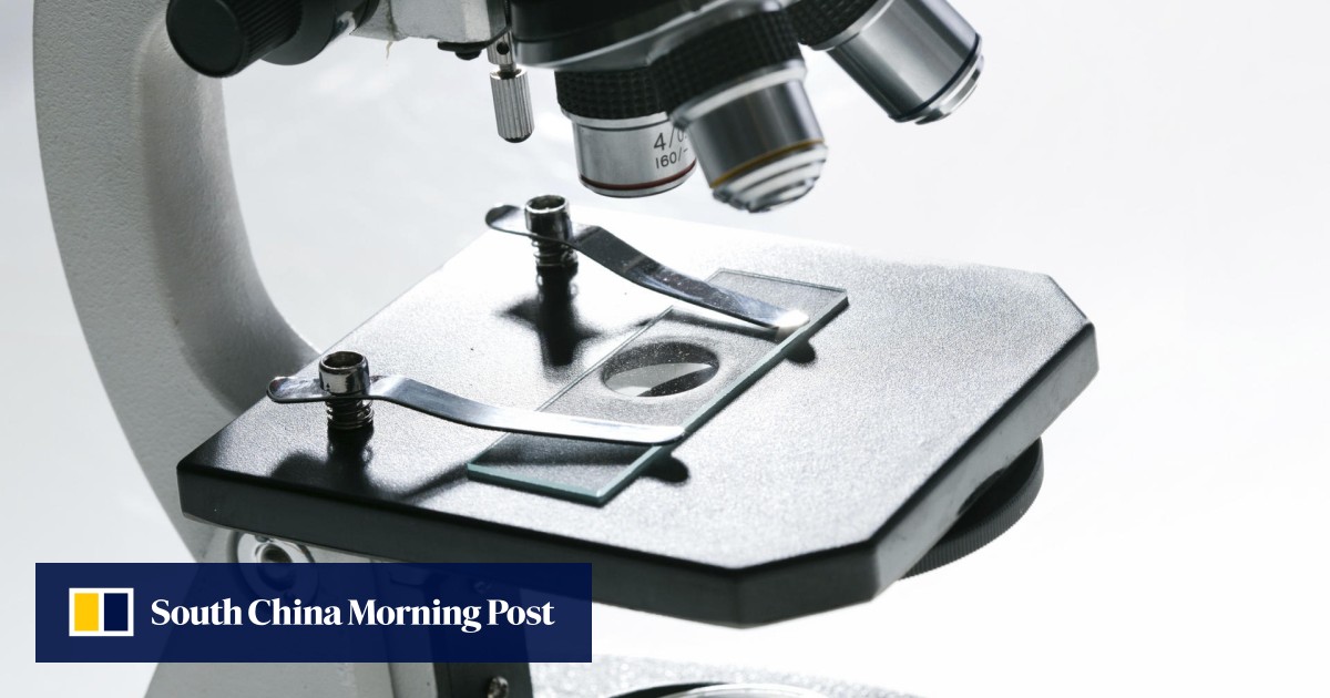 Lab report | South China Morning Post