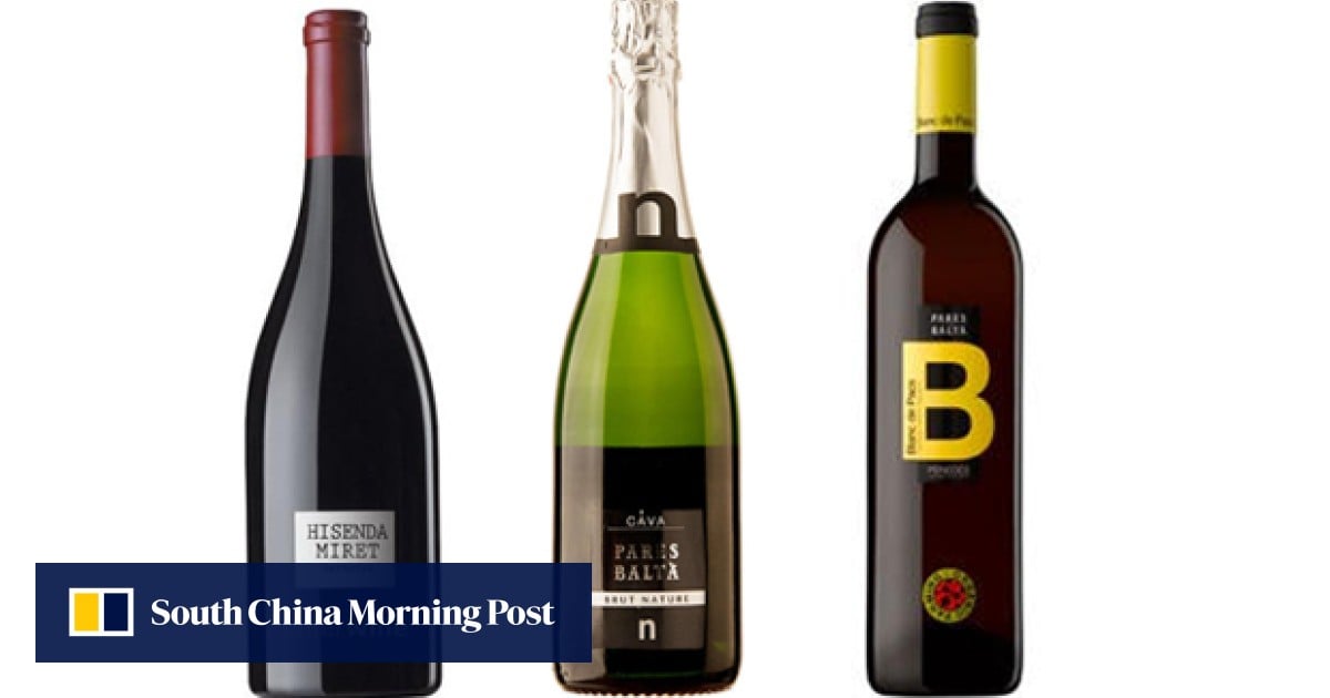 Wine tasting: Pares Balta from northeast Spain | South China Morning Post