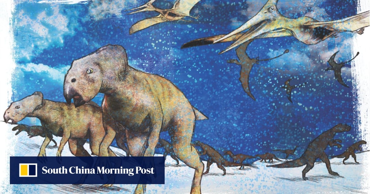 Dinosaurs may have lived in arctic conditions, study finds | South ...
